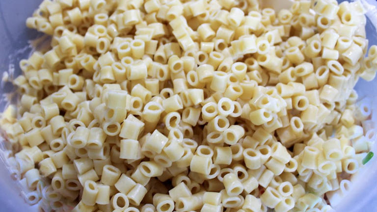 A fantastic and basic macaroni salad for just about any occasion - best ...