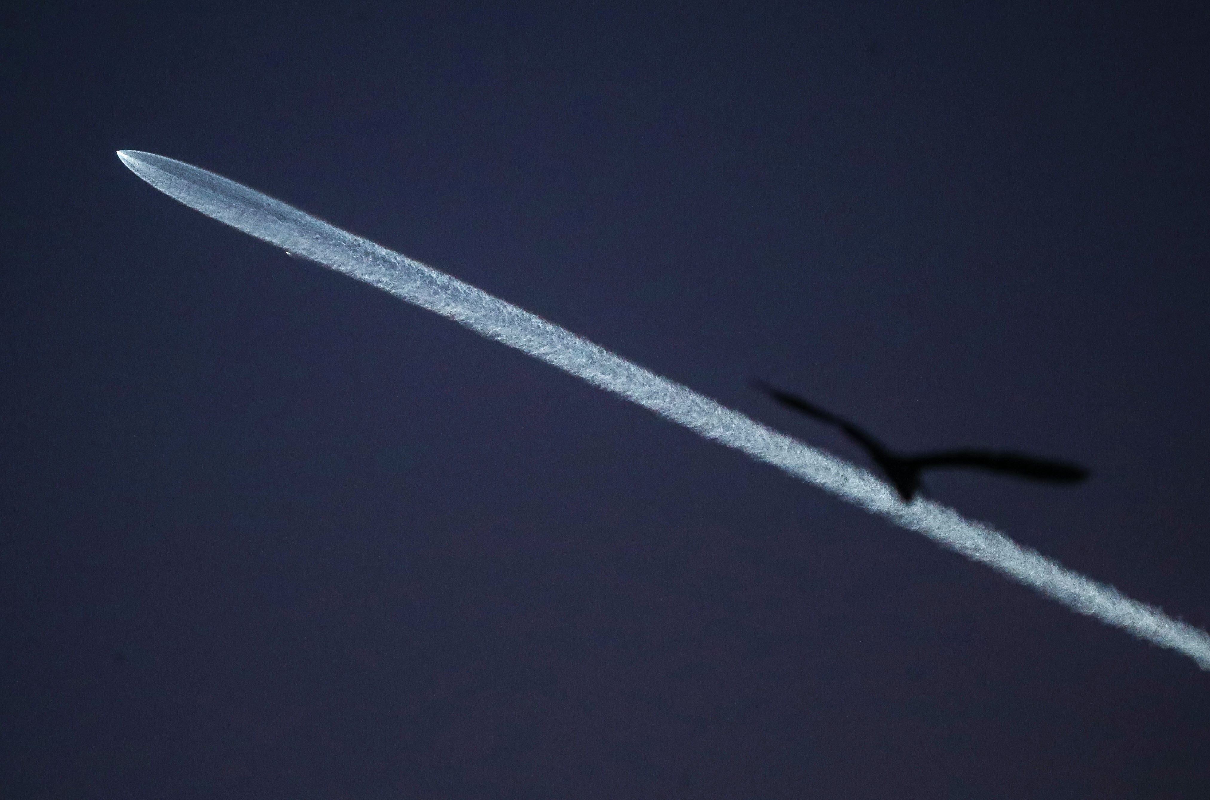 Space photos: Stunning images you have to see