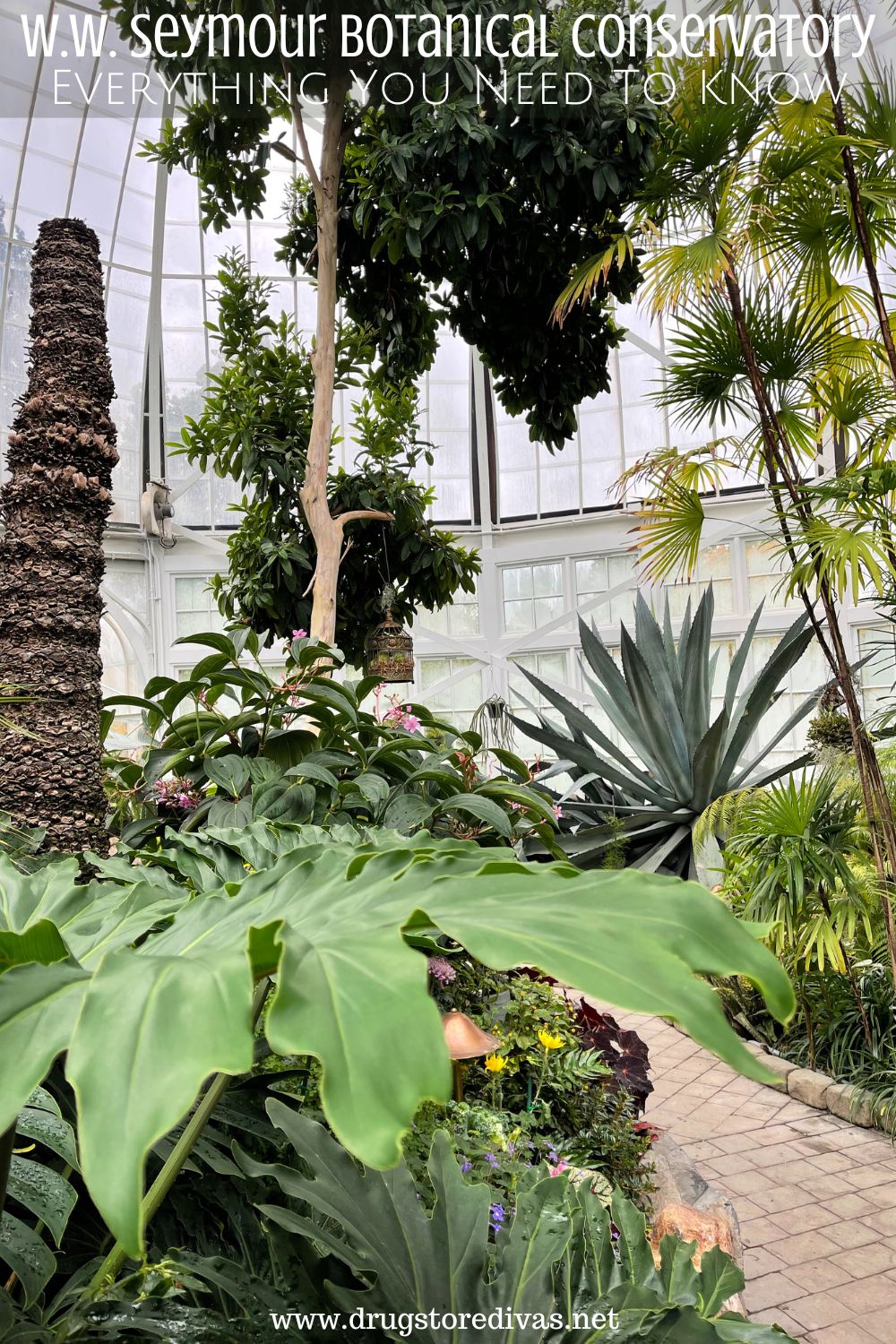 W.W. Seymour Botanical Conservatory: Everything you need to know