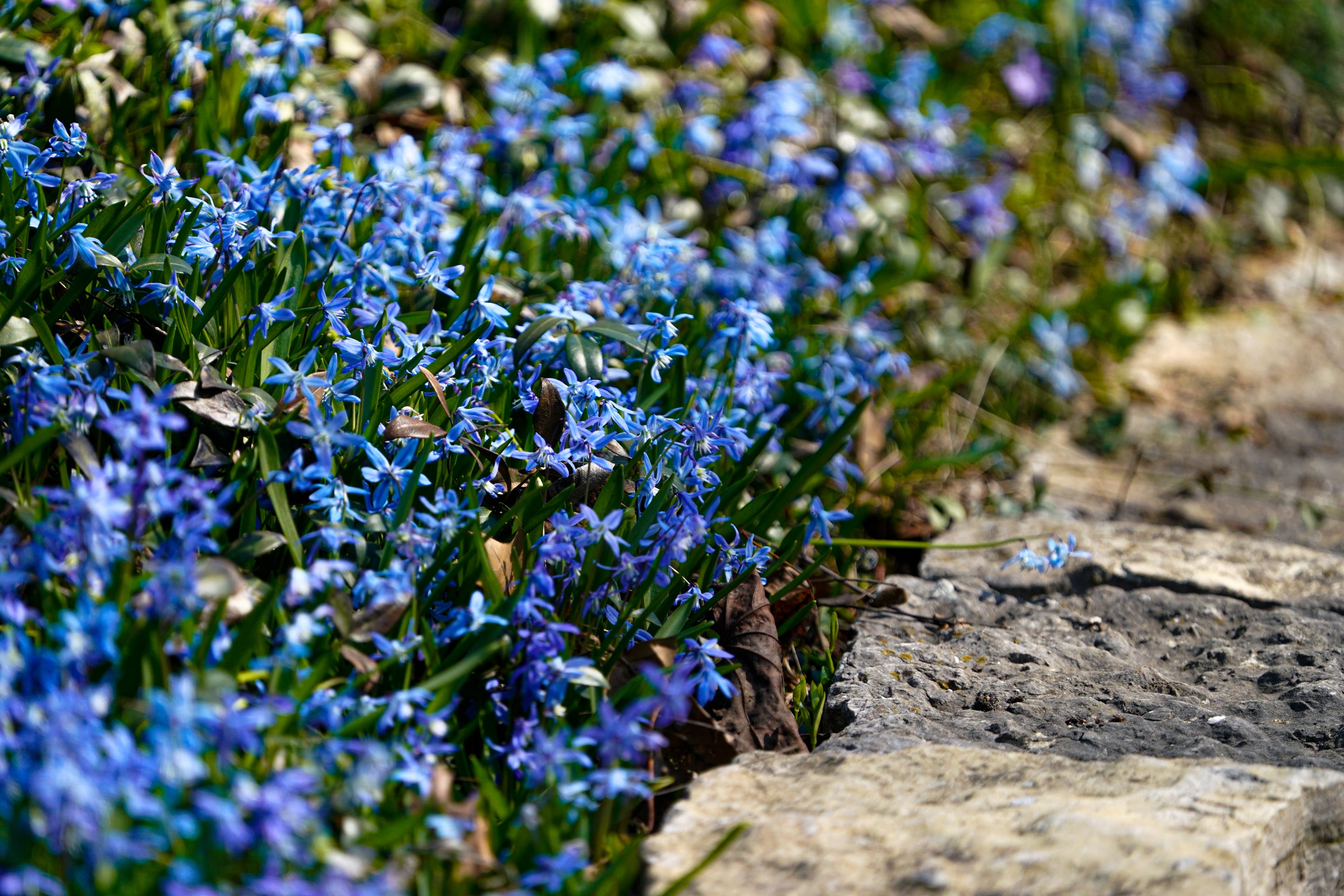When is the first day of spring? Soon. Here's what it means for Indiana ...