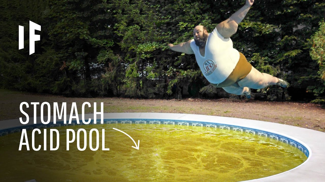What happens if you jump into a pool full of stomach acid?