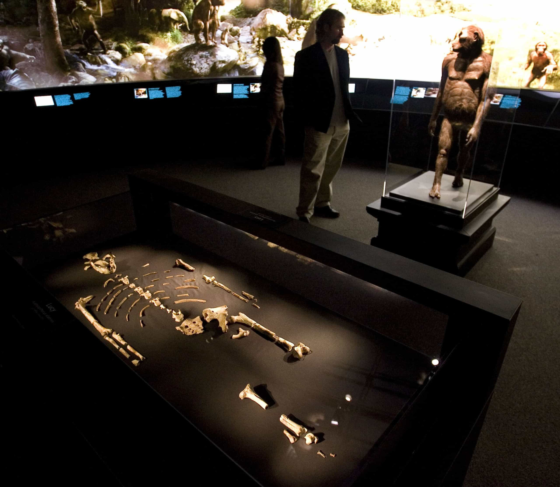 Past human species: How different were they from us?