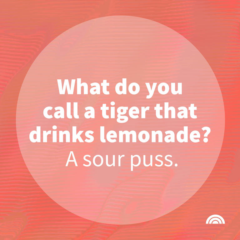 Crack up the youngsters with these 164 funny jokes for kids