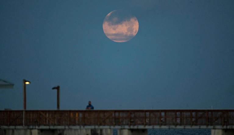 April's pink moon is also a micromoon. Plus, check out the Lyrids ...