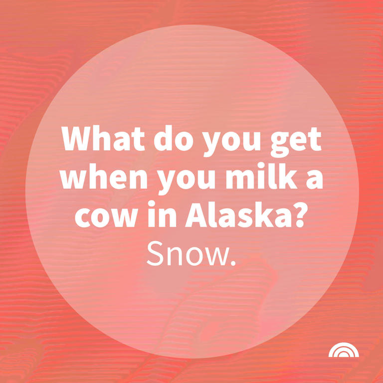 Crack up the youngsters with these 164 funny jokes for kids