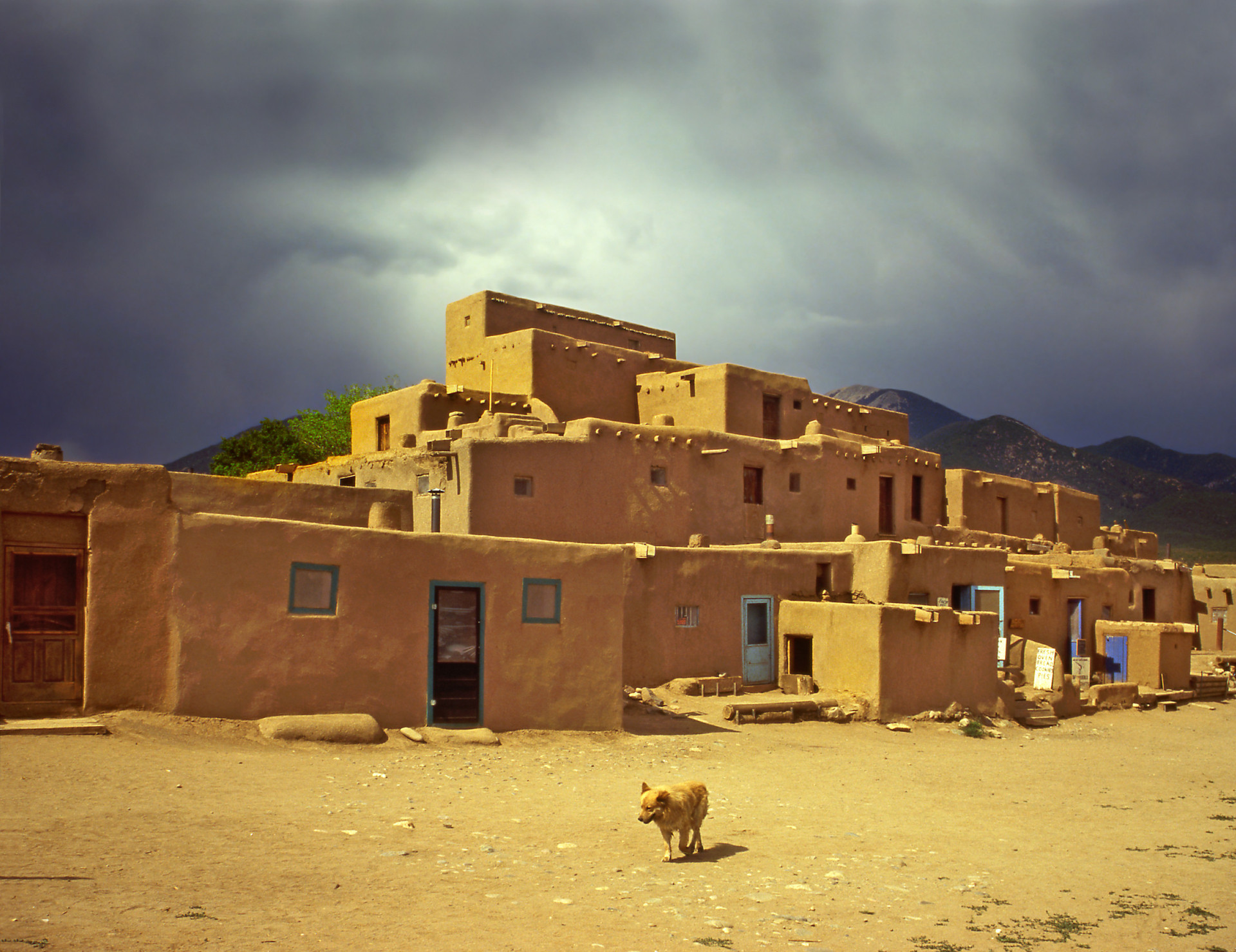 The oldest houses in the US