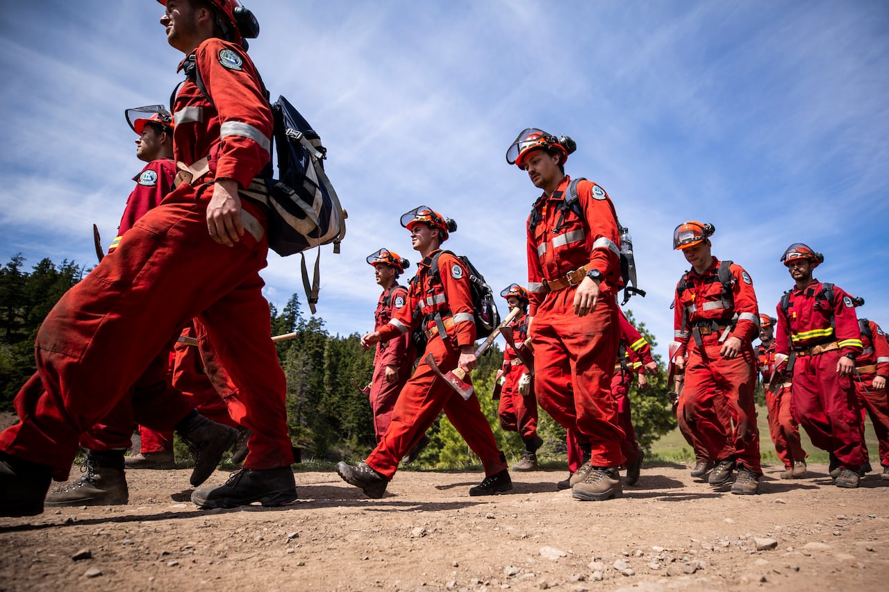 Record number of applications to join B.C. wildland firefighting teams ...