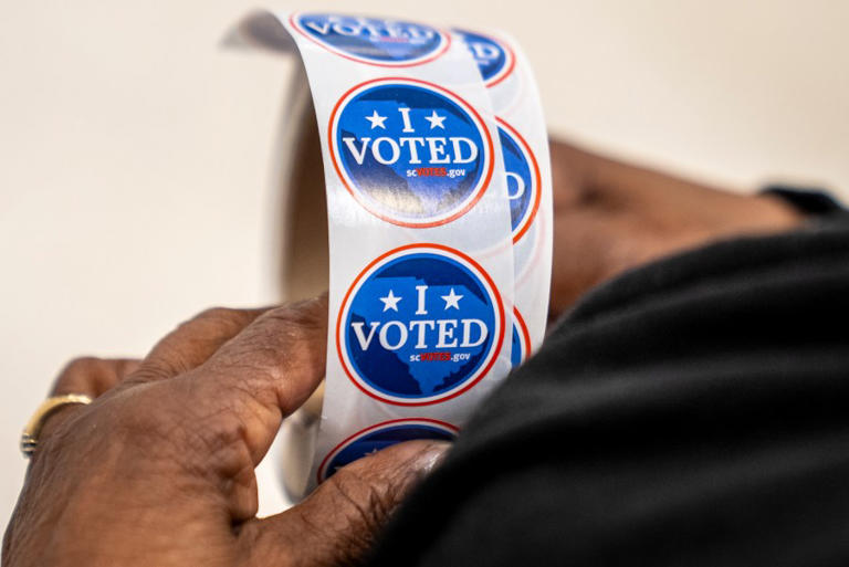 Thousands of South Carolina voters marked as ‘inactive’ following ...