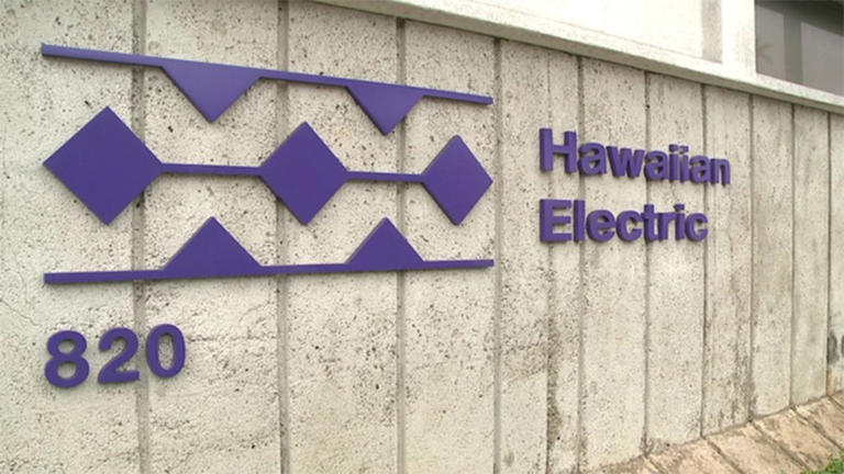 8 safety tips to prepare for hurricane season: HECO