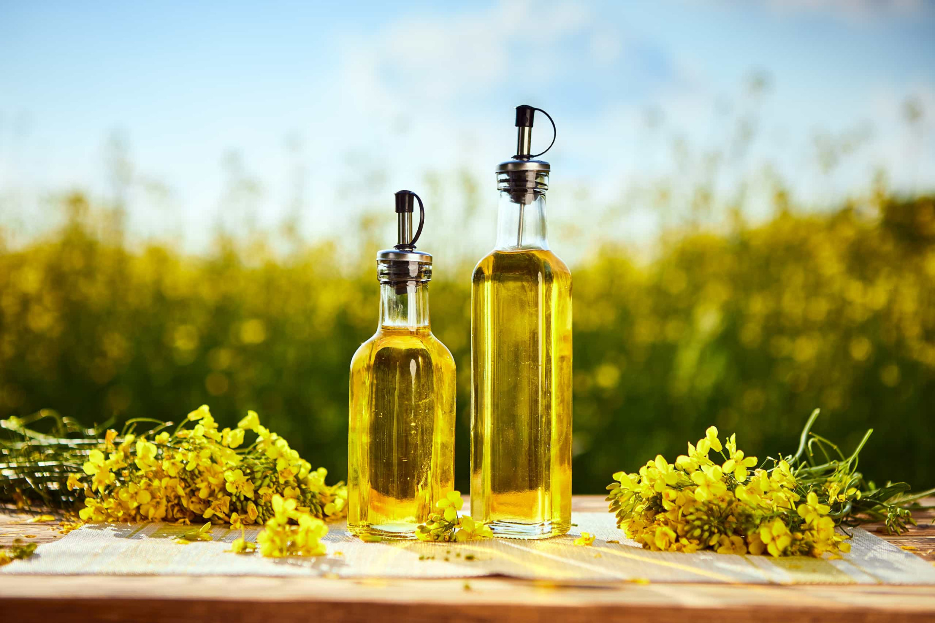 The best oils to cook with (and which to avoid)