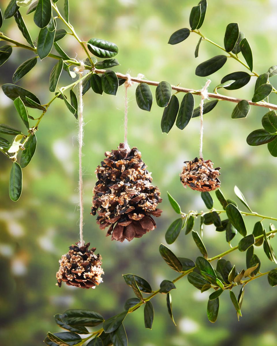 These DIY Bird Feeders Will Fill Your Garden with Song