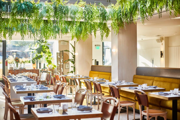 The best restaurants near Fisherman's Wharf