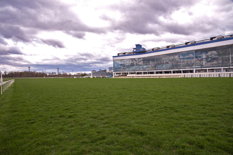 Turf Racing Returns Friday At Laurel Park
