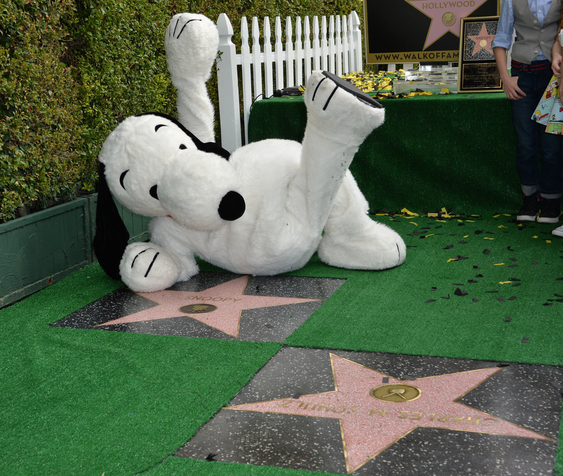 The most famous dogs in history