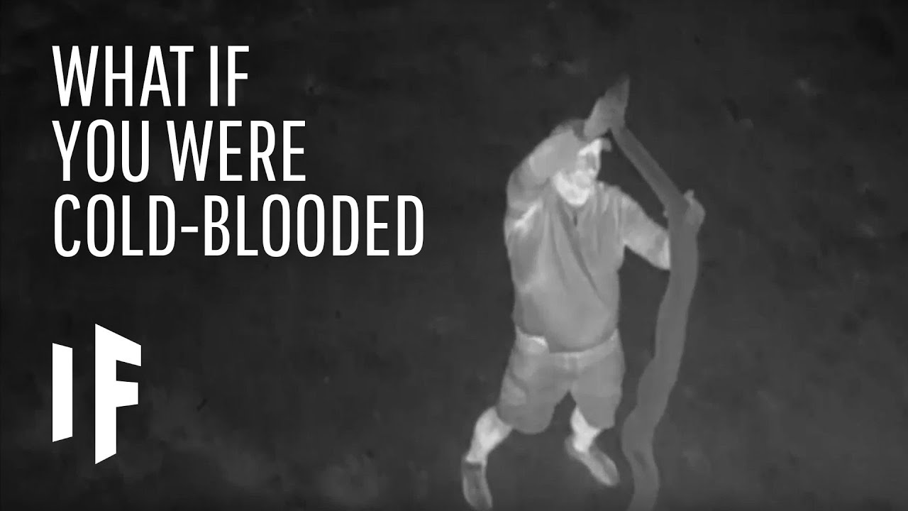 Cold-Blooded Humans: How Life Would Change