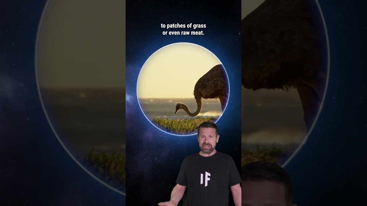 Growing Up in the Wild: What Would It Be Like?