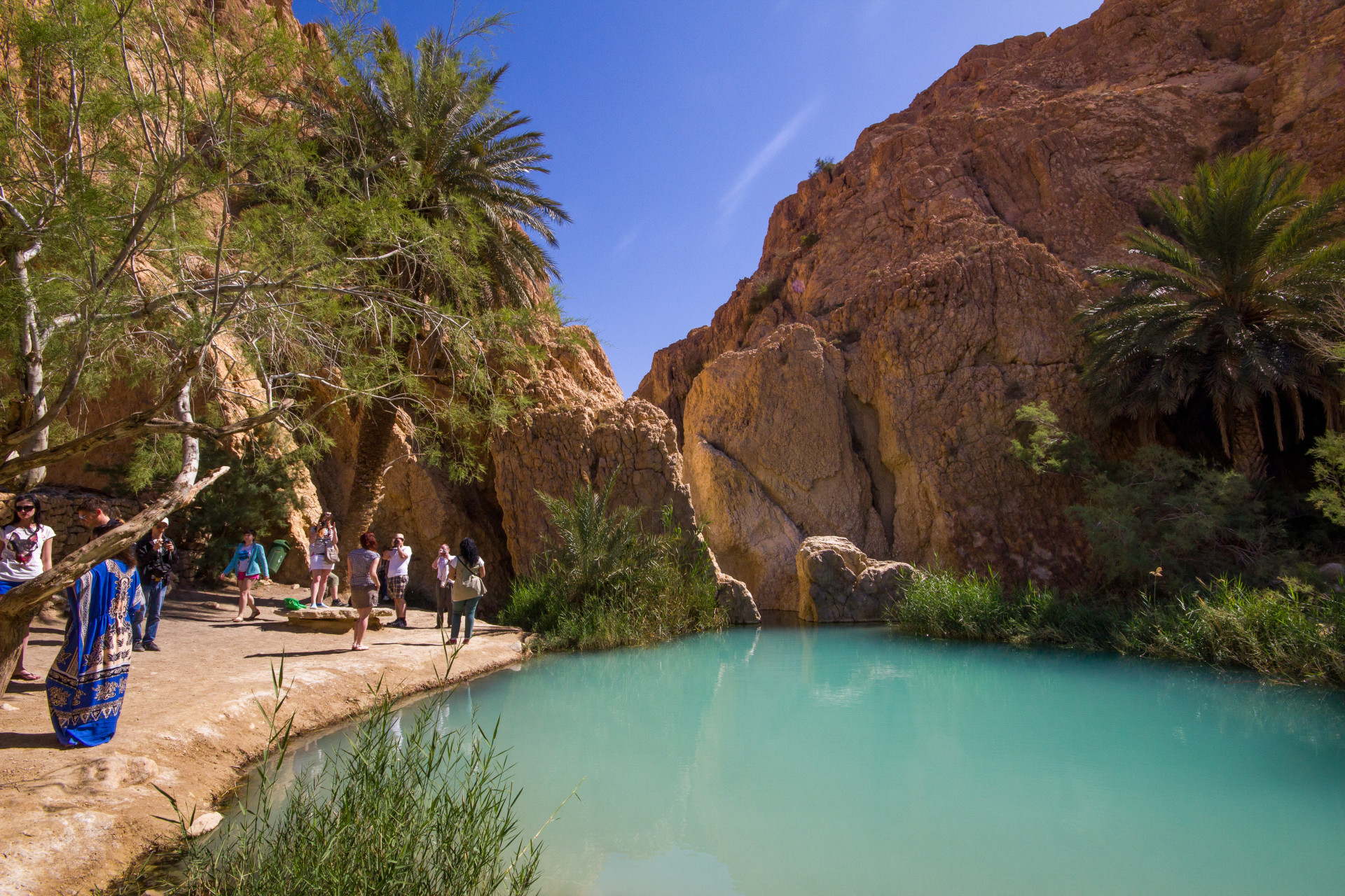 Les plus belles oasis du monde entier