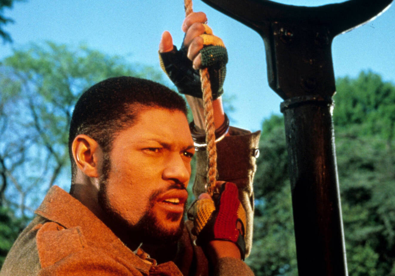 Class clowns: The 25 best movies about college