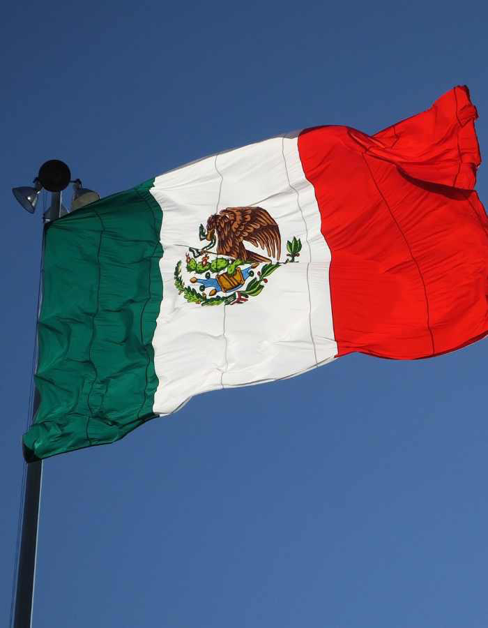 Viva la Mexico: The Heart and Soul of Mexican Culture