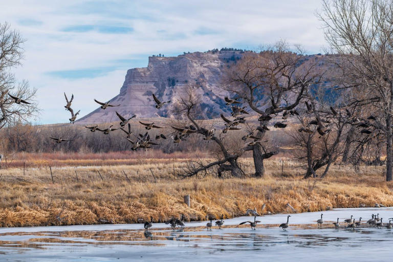 The Top Ten Best Places in the U.S. to Go Bird-watching