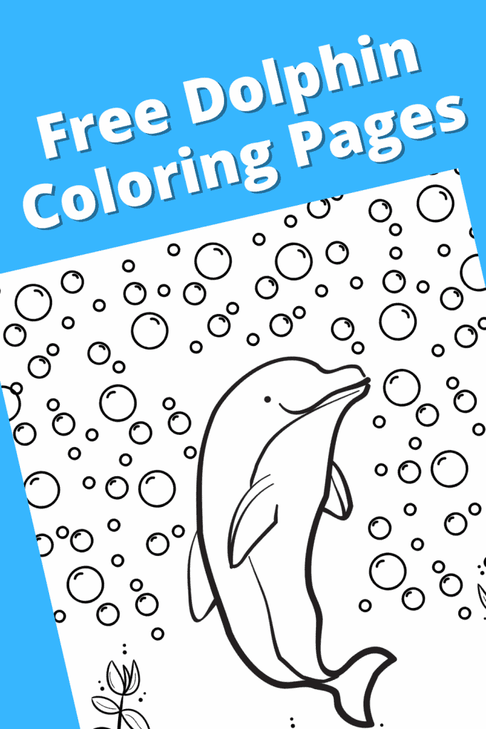 10 Free Dolphin Coloring Pages