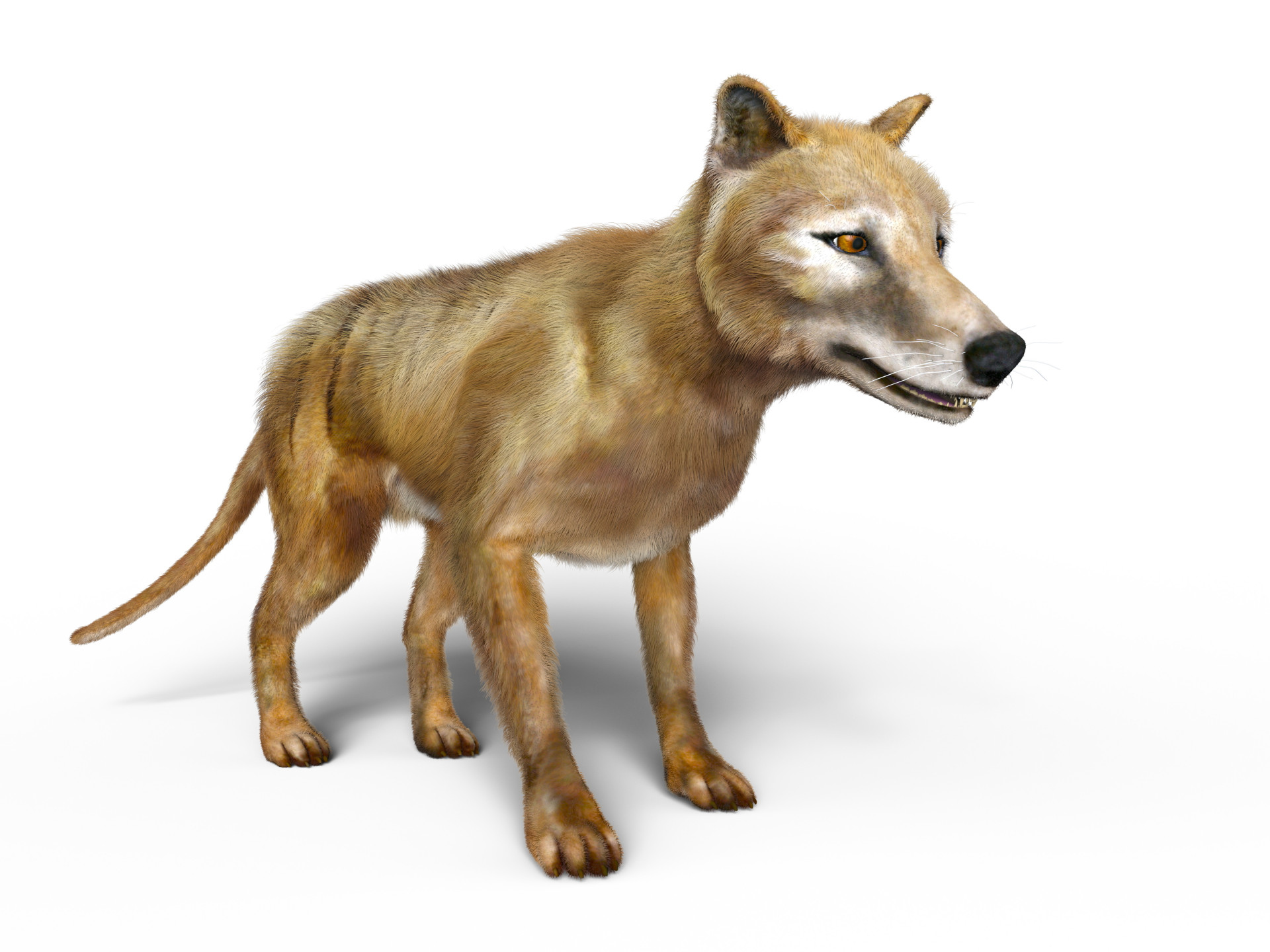 Prehistoric animals you won't believe existed