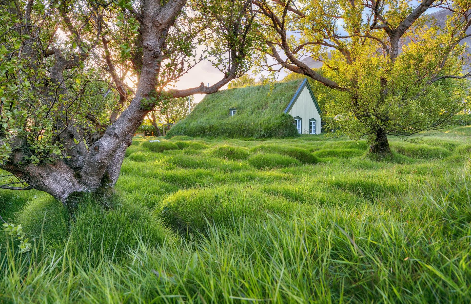 Amazing homes so hidden in nature you might not see them