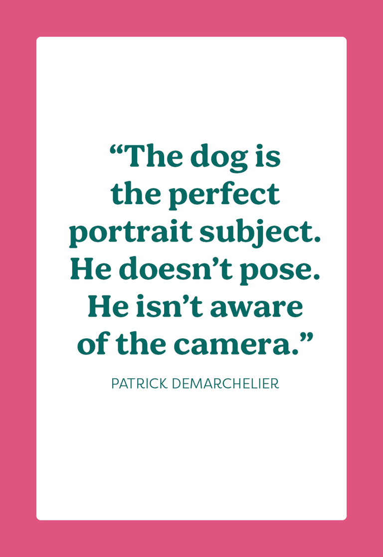 There Is Nothing More Pawfect Than These Adorable Dog Mom Quotes