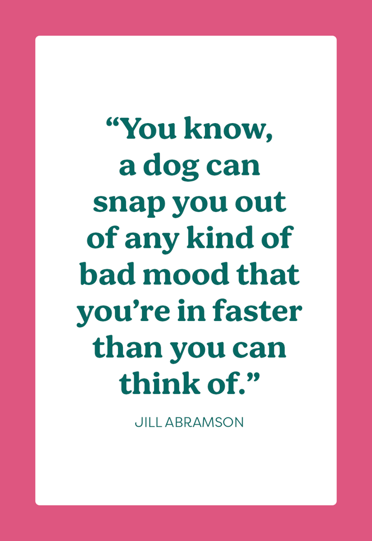 There Is Nothing More Pawfect Than These Adorable Dog Mom Quotes