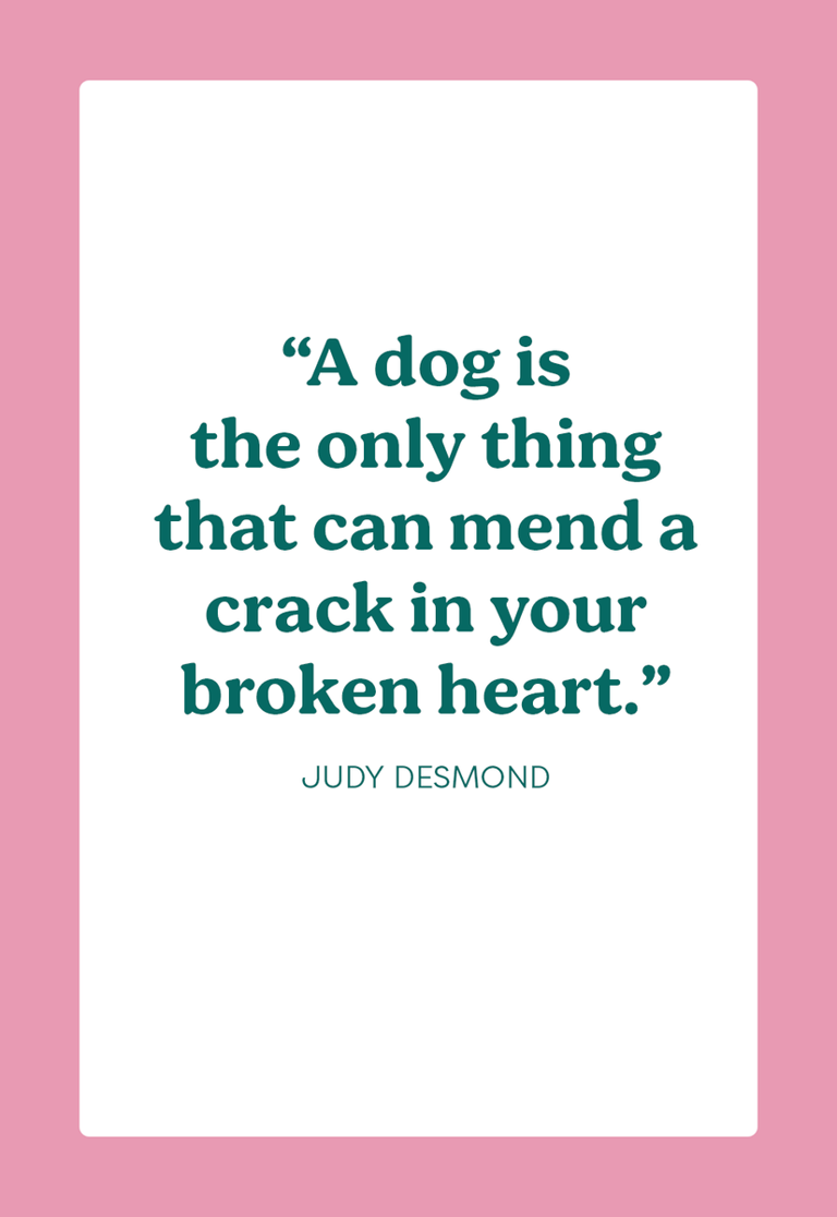 There Is Nothing More Pawfect Than These Adorable Dog Mom Quotes