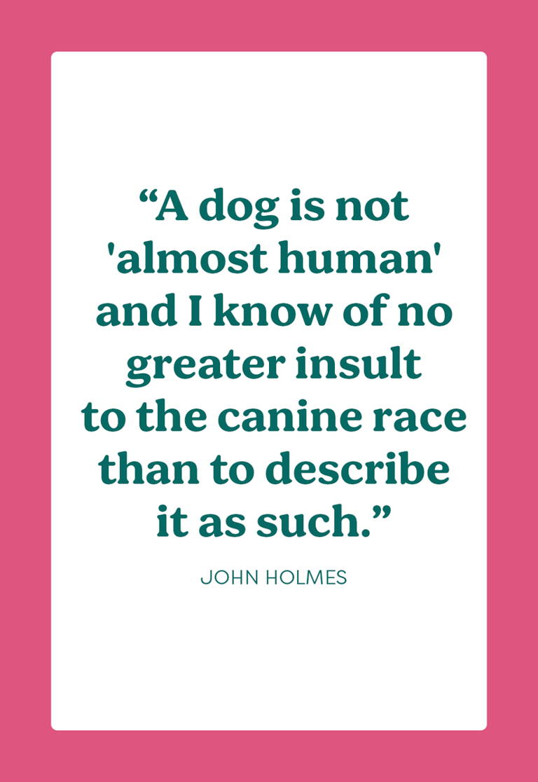 There Is Nothing More Pawfect Than These Adorable Dog Mom Quotes