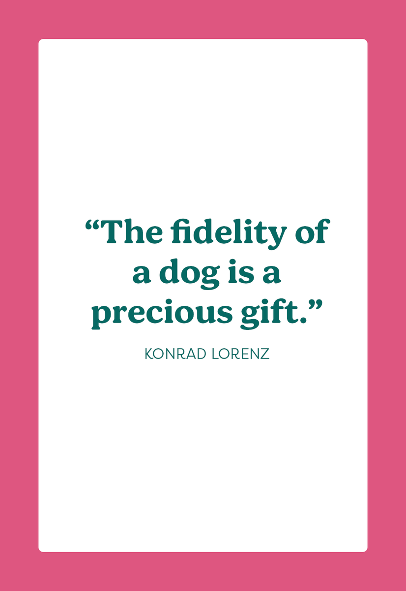 There Is Nothing More Pawfect Than These Adorable Dog Mom Quotes