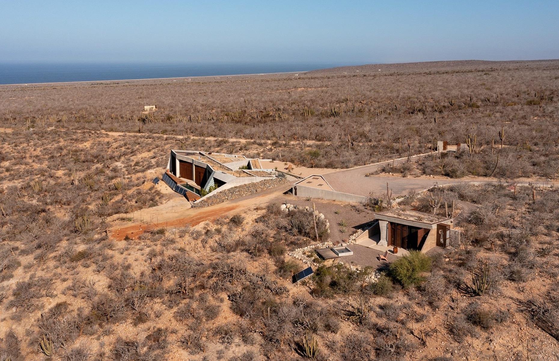 Les plus belles races de chats, selon la science