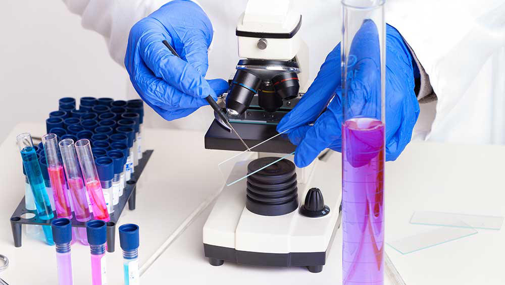 Vera Therapeutics Breaks Out On Promising Results For Kidney Drug Vera Therapeutics Breaks Out On Promising Results For Kidney Drug