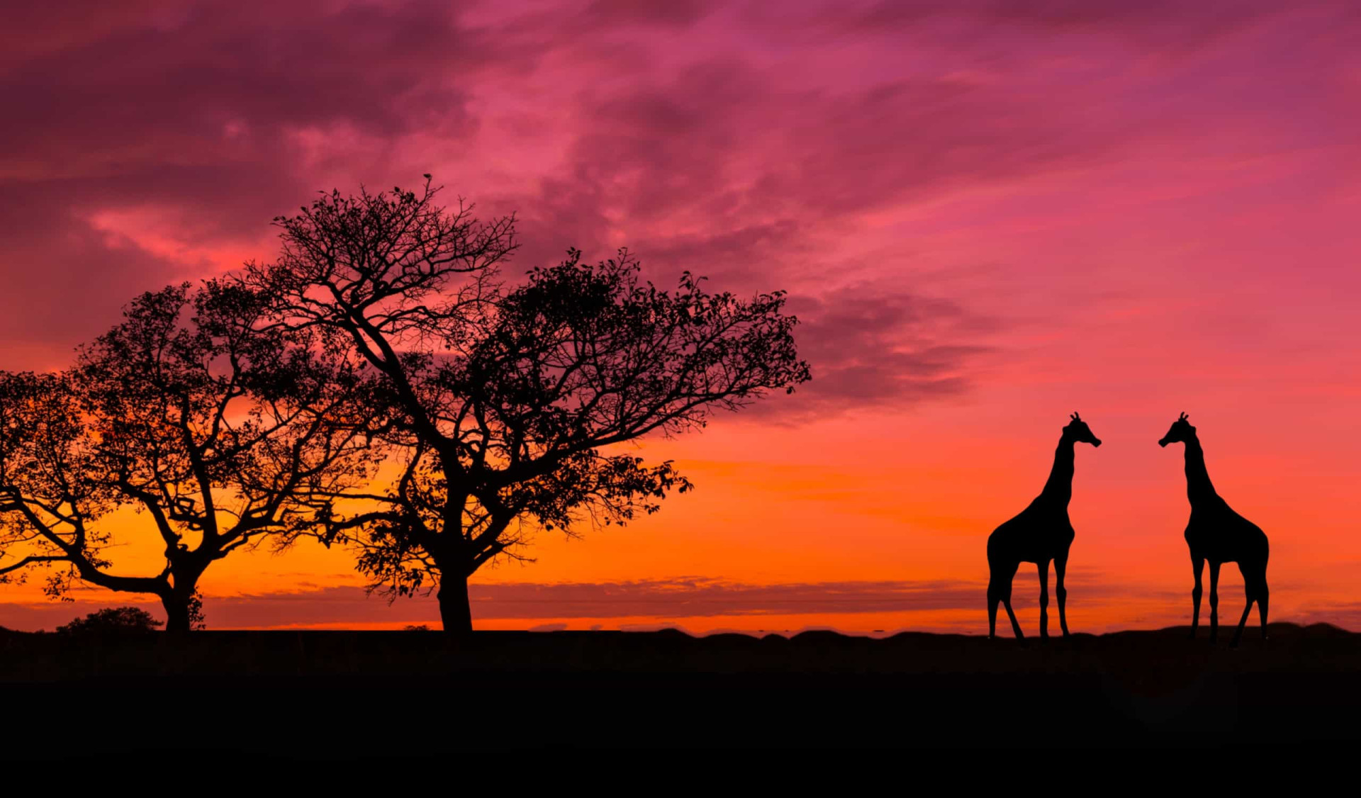 Which countries have the biggest rivalries?