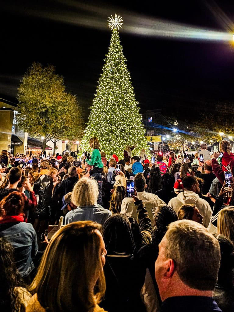 Tree Lighting Ceremonies in The Triangle: Where to Kick Off the Holiday ...