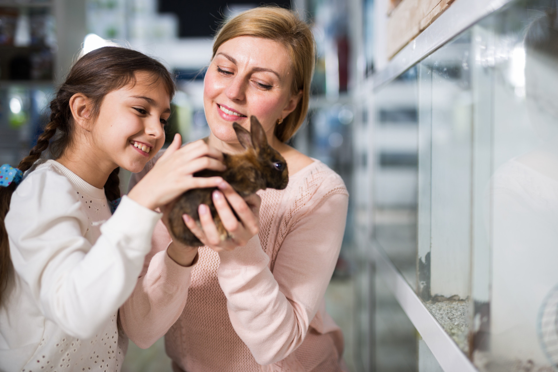 Things to consider before getting a pet rabbit