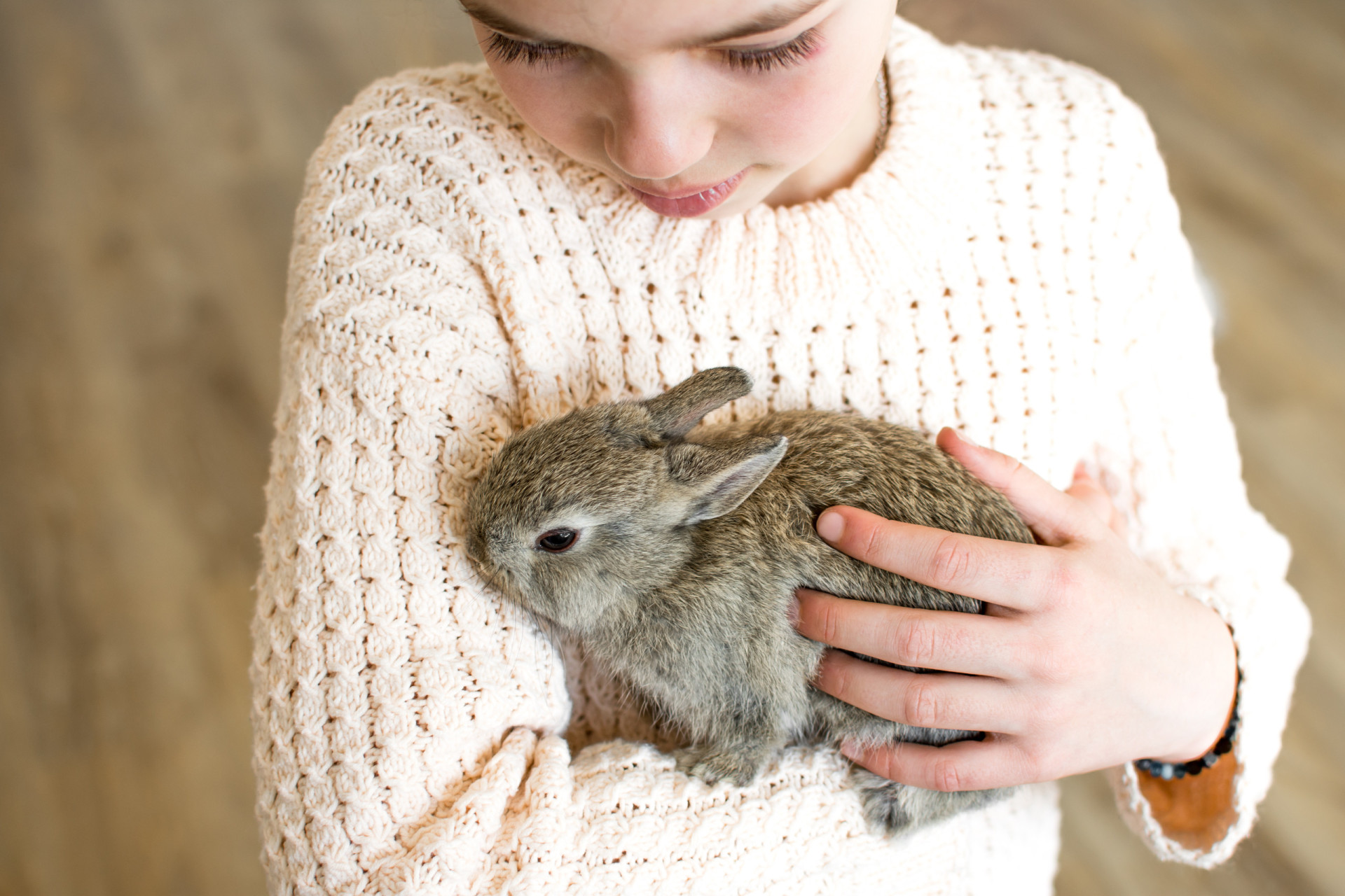Things to consider before getting a pet rabbit