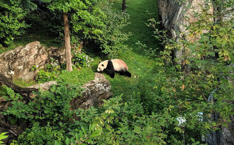 44 Best Things to Do in Washington DC