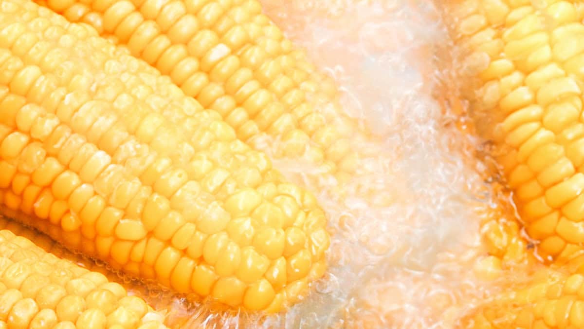 10 Easy and Irresistible Corn Recipes