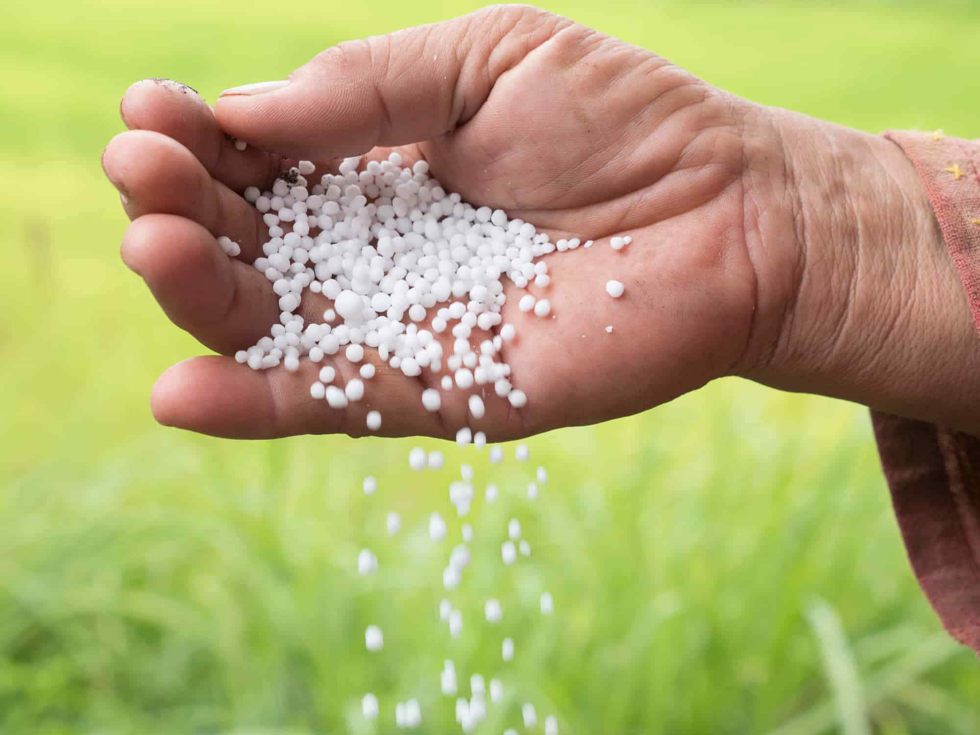 Here’s Why You Should Think Twice About Using Synthetic Fertilizer Here’s Why You Should Think Twice About Using Synthetic Fertilizer