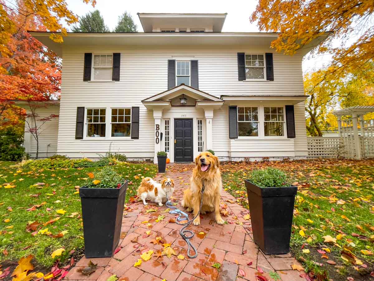 An honest TrustedHousesitters review [+ discount code]