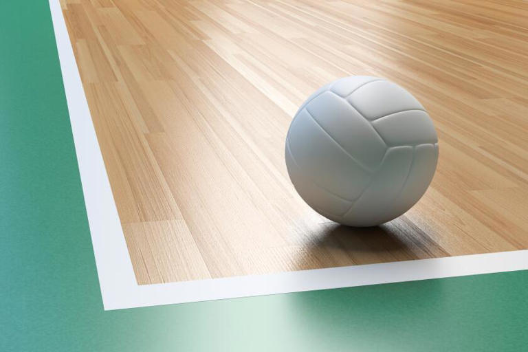High school boys' volleyball: State championship results