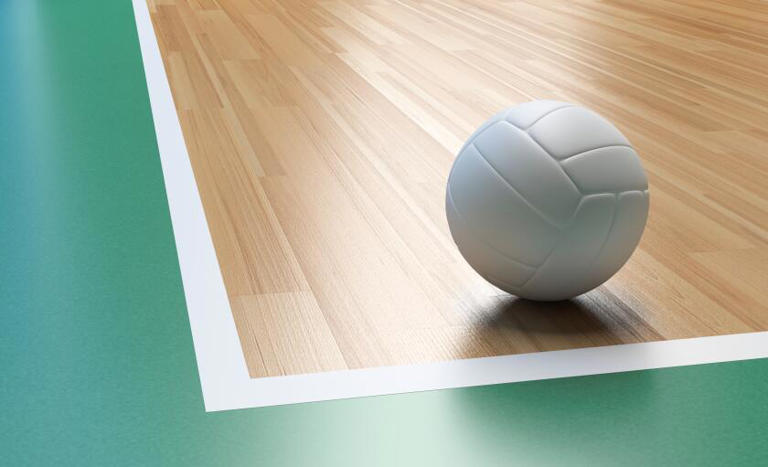 High school boys' volleyball: State championship results