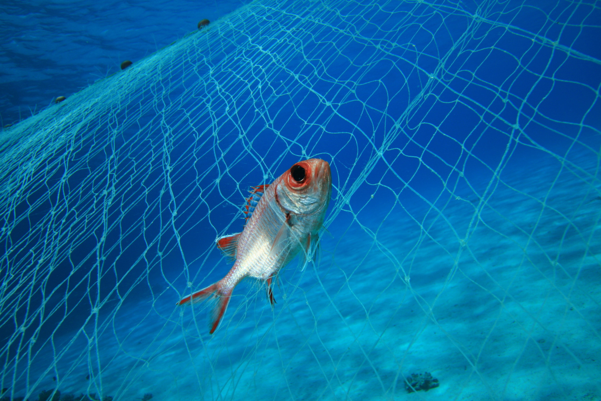 Deadly fishing methods that destroy the environment