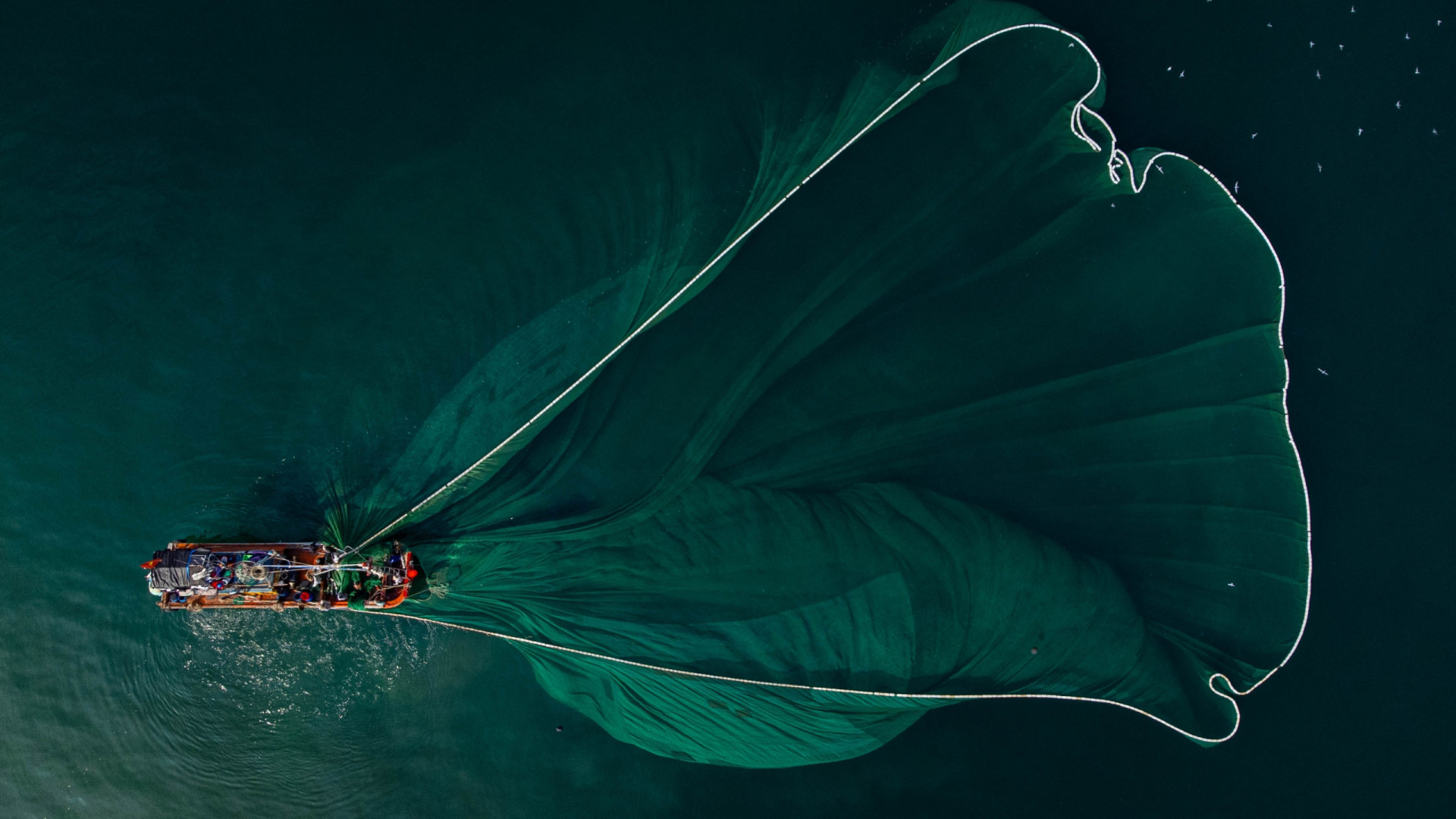 Deadly fishing methods that destroy the environment