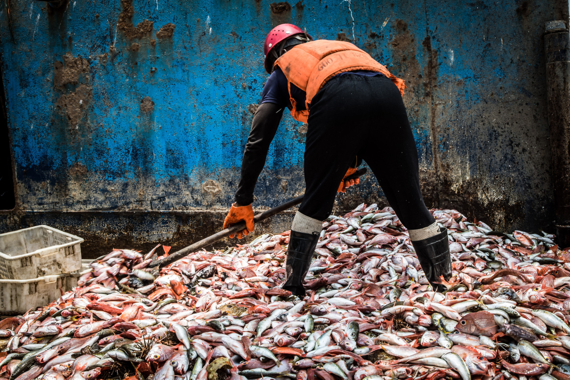 Deadly fishing methods that destroy the environment