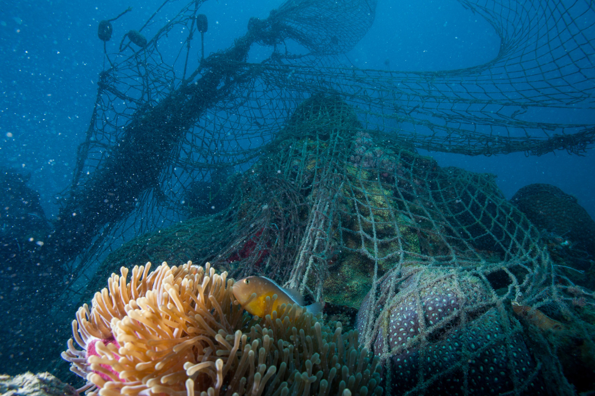 Deadly fishing methods that destroy the environment