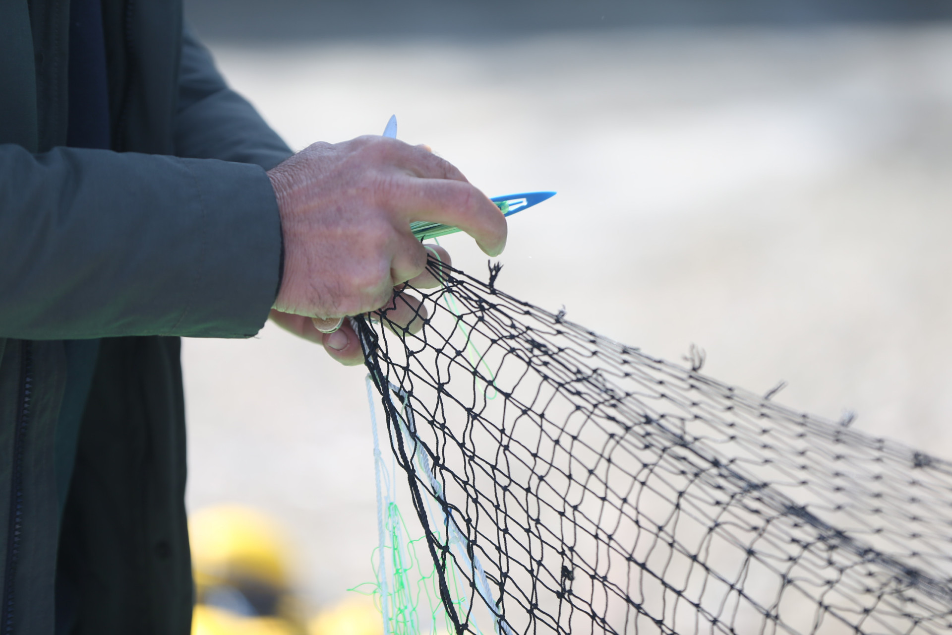 Deadly fishing methods that destroy the environment