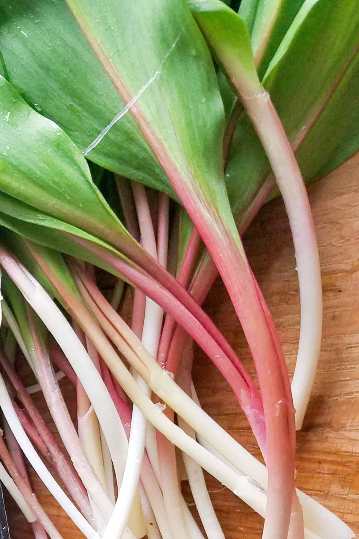 Freeze This Recipe for Ramps All Year Long